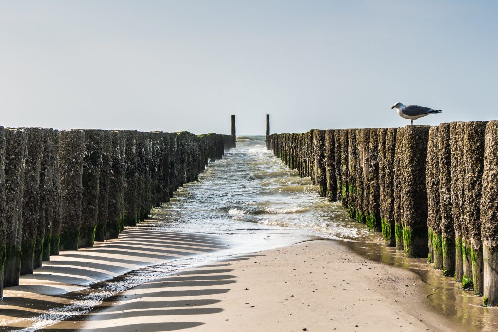 Peter Hijma - Polderdijk en van der Bijl